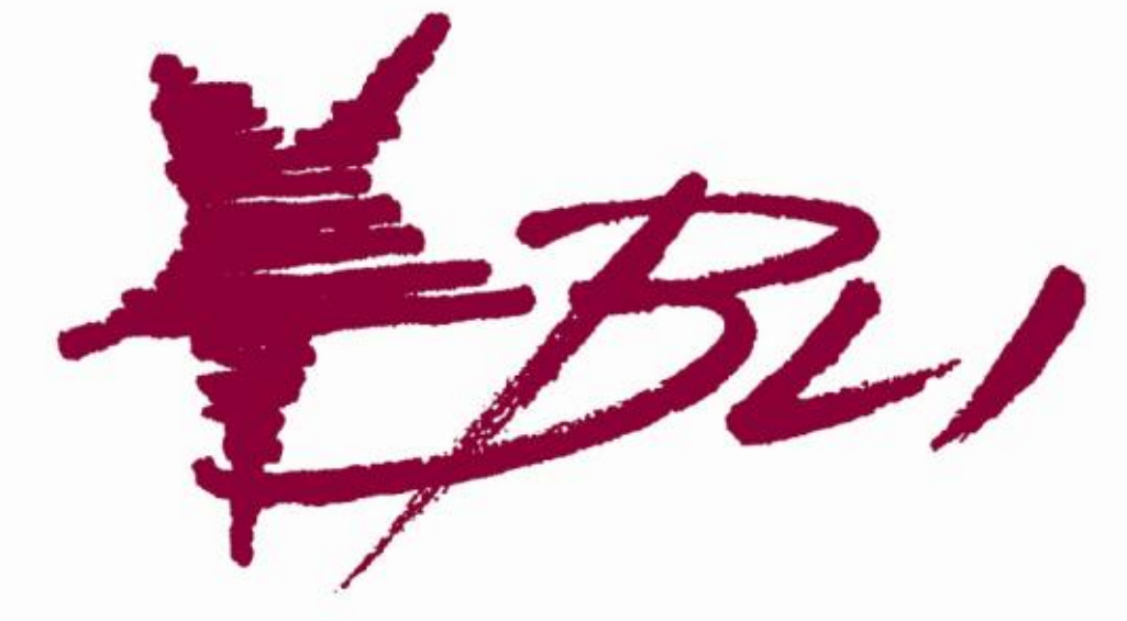 STYP BLI Scholarship – Southern Tier Young Professionals